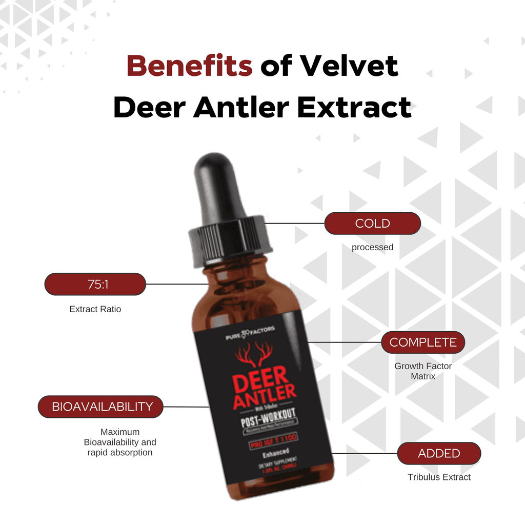 Velvet Deer Antler Extract with Tribulus - IGF T1100 Professional